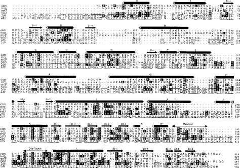 Figure 1 From Determinants Of The Substrate Specificity Of Human