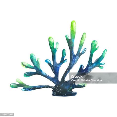 푸른 바다 산호의 가지에 대한 수채화 그림 흰색 배경에 격리된 개체입니다 엽서 포스터 인쇄물 배너의 디자인과 장식을 위해 다중 색상에 대한 스톡 벡터 아트 및 기타 이미지