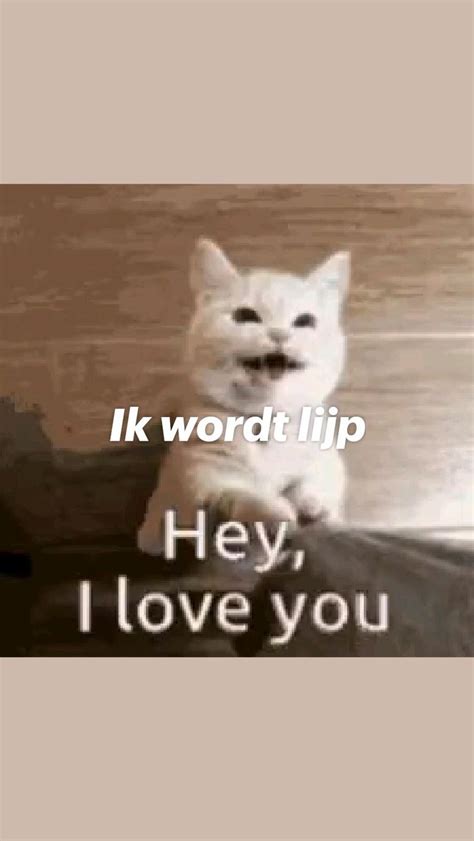 Pin On Pins Van Jou