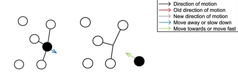 Source 23 Depiction Of Three Flocking Rules Download Scientific