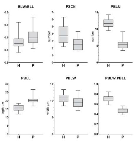 The Box Plots Of Six Metrics Where H Is S Henryense And P Is S Download Scientific Diagram