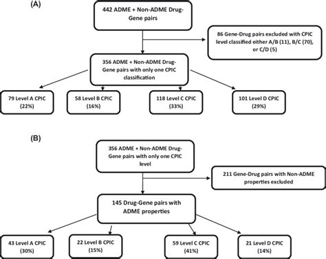 Radiolabeled Adme Study At Bruce Karp Blog