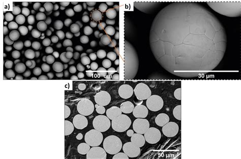 Sem Images Showing The A Powder Size Distribution And Morphology B