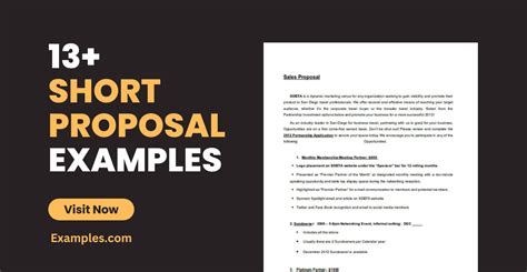 Examples Of How To Write A Proposal