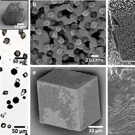 Optical A D And Sem Micrographs Inset In A And B C E F Of