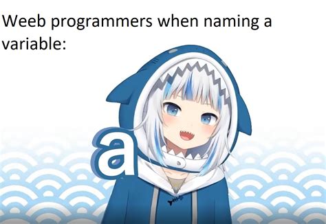programmeranimemes
