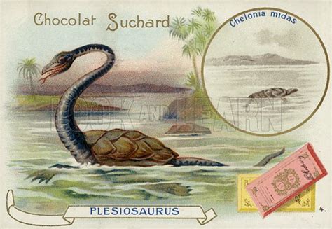 Plesiosaur And Green Sea Turtle Stock Image Look And Learn