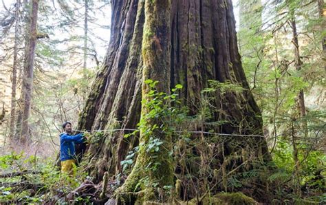 Raft Cove Provincial Park Vancouver Island News Events Travel