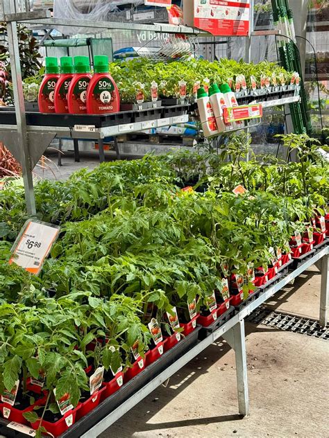 Mitre 10 Motueka Port Motueka