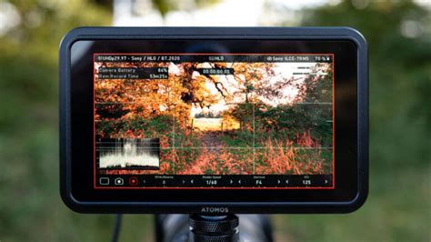 Shinobi Ii 5 Inch Camera Monitor Atomos
