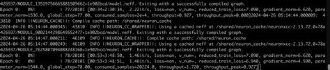 Node Problem Detection And Recovery For Aws Neuron Nodes Within Amazon