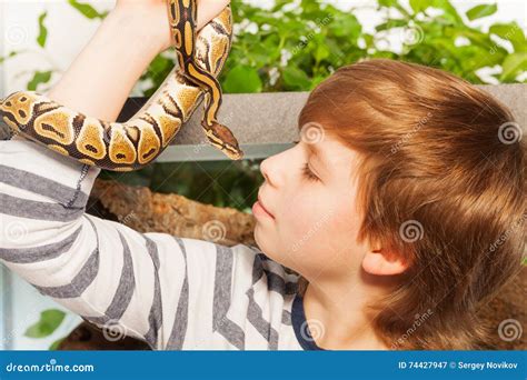 Ball Python Puppy Face