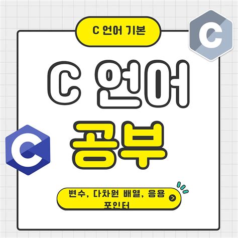 C 언어 변수 다차원 배열 응용 포인터 정리