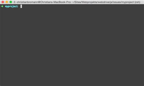 testrunner webdriverio
