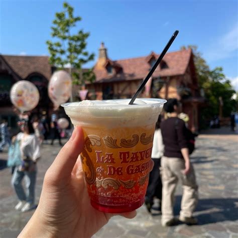 [일본 디즈니랜드] 예약방법 가는법 디즈니랜드어플 간식추천 와플 베리치어스 미키아이스크림 카레 네이버 블로그