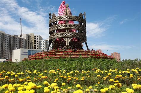 Баяр наадамд зориулан 280 мянган цэцэг тарьжээ