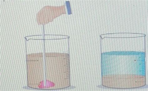 Observe The Given Picture And Answer The Questions That Follow A Identify The Method Of