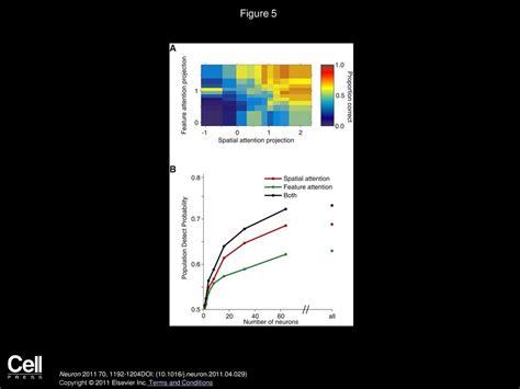 Marlene R Cohen John Hr Maunsell Neuron Ppt Download