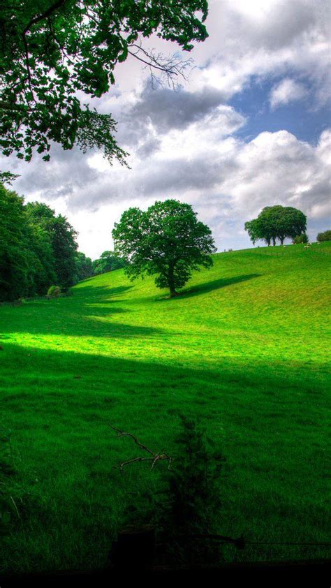 Nature Portrait Wallpapers Top Free Nature Portrait Backgrounds