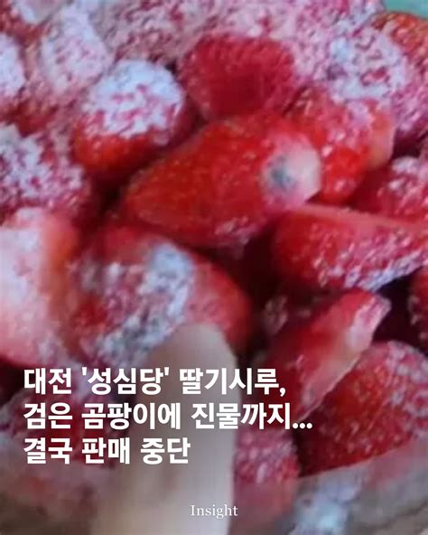 인사이트 대전 성심당 딸기시루 검은 곰팡이에 진물까지 결국 판매 중단 😨 대전을 대표하는 빵집 성심당의 인기 제품인 딸기시루 케이크에서 충격적인 일이