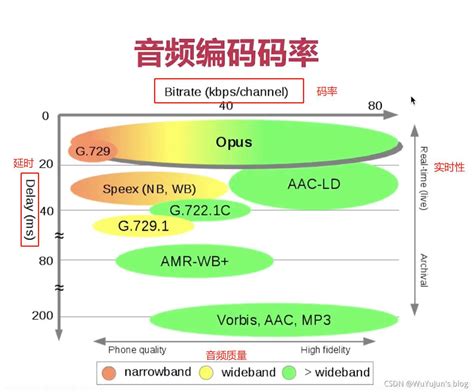 音频和opus开源库简介 Csdn博客