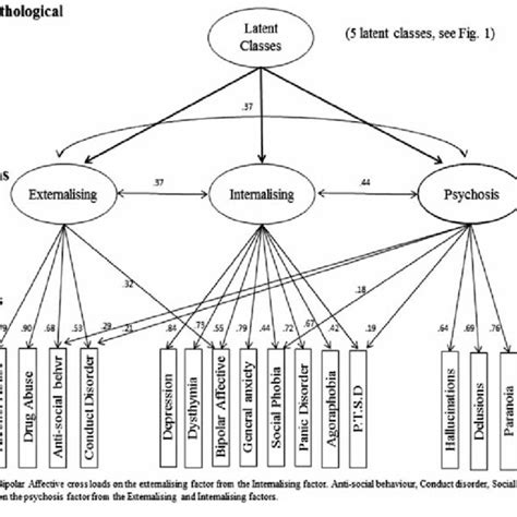 Pdf Psychosis Within Dimensional And Categorical Models Of Mental Illness