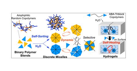 Self Sorting Of Amphiphilic Copolymers For Self Assembled Materials In Water Polymers Can