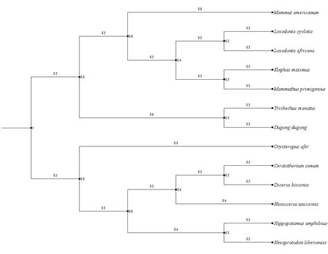 Technological Perspectives In Phylogeny Research Revisiting
