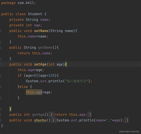 java语言1 类和对象 成员变量和局部变量 xingwuge的博客 csdn博客