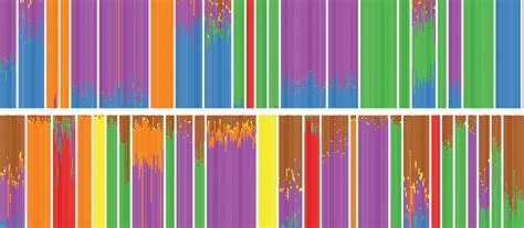 Can An Algorithm Identify Disease Carrying Genetic Mutations To Help