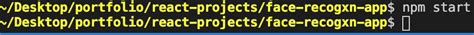Reactjs Npm Start Command Not Working No Errors Stack Overflow