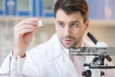 실험실에서 유리 현미경 슬라이드를보고 흰색 코트를 입은 남자 과학자 Stem 주제에 대한 스톡 사진 및 기타 이미지 Stem 주제 과학 과학 실험 Istock