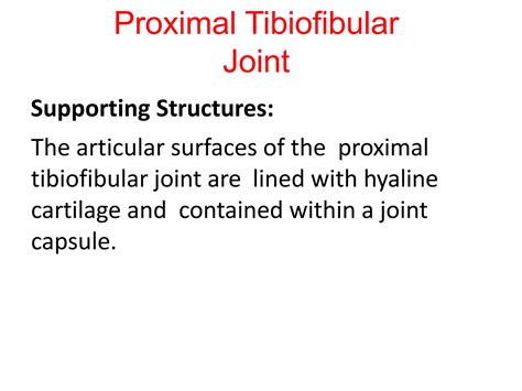 Ankle And Tibiofibular Jointpptx