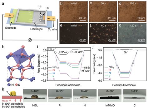 Characterization Of Interfacial Interactions Between Sulfur Species And