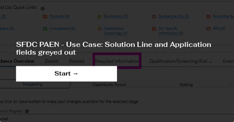Sfdc Paen Use Case Solution Line And Application Fields Greyed Out