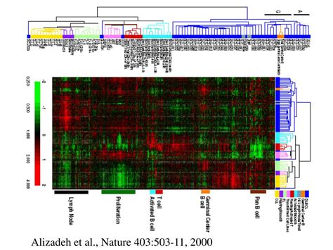 Ppt Cluster Analysis For Microarray Data Powerpoint Presentation Free Download Id6961195