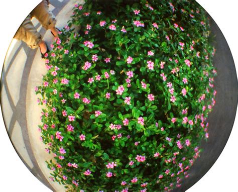 Untitled Deconstruct Flickr