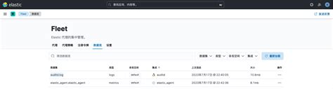 Es8生产实践——fleet部署与常见日志采集fleet Server Csdn博客