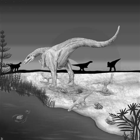 Species New To Science Paleontology • 2025 Tail Of Defence An