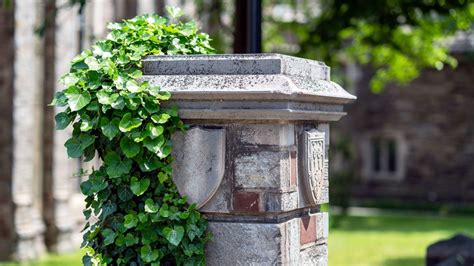 Seven Elected To Princeton Board Of Trustees