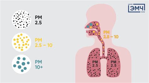 АГААРЫН БОХИРДОЛ ба ЭРҮҮЛ МЭНД