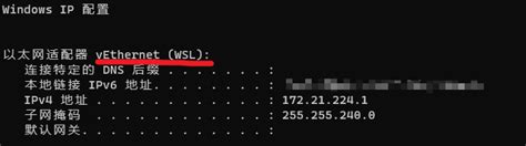 wsl2 docker gui 界面 ros wsl docker csdn博客