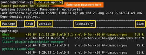 how to update all packages in rhel using yum [3 cases] linuxsimply
