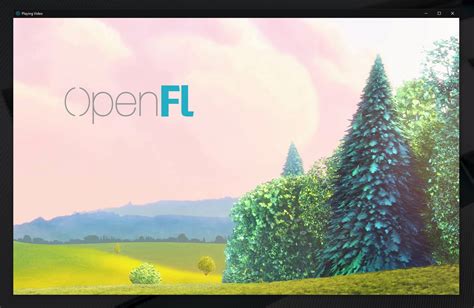 Working Video Playback For Windows Help Openfl Community