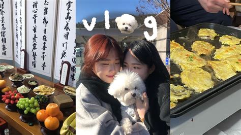 Vlog 설날 브이로그인데 강아지가 메인인 영상 대가족 명절 전 공장 풀 가동 Youtube