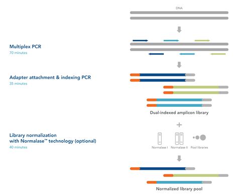 xgen ngs amplicon sequencing workflow idt