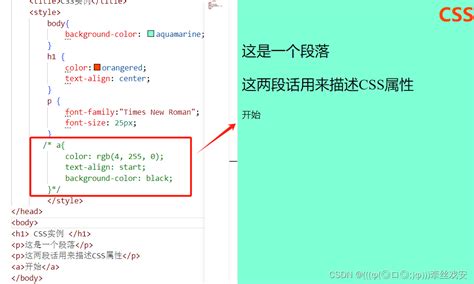 Css基础 新手入门级详解