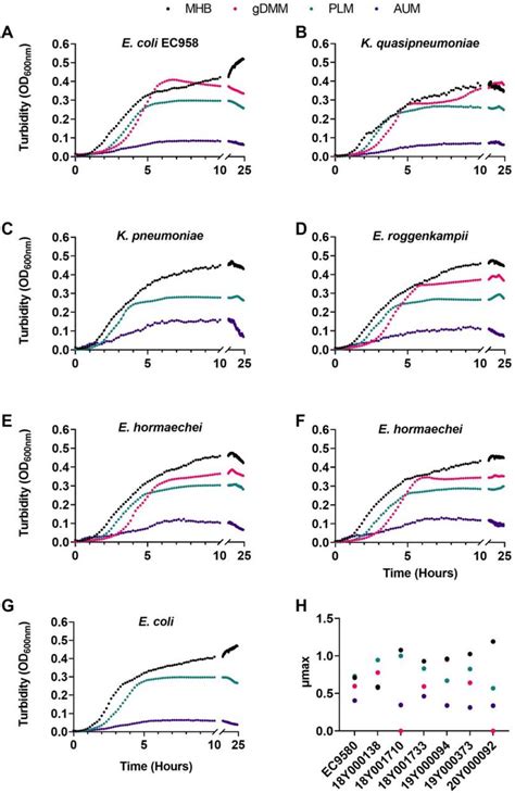 Evaluation Of Phenotypic And Genotypic Methods For The Identification And Characterisation Of