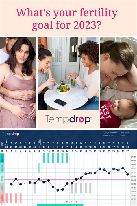 Menstrual Cycle Tracker Basal Temp Charting Tool Artofit