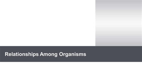 Relationships Among Organisms Ppt1pptx